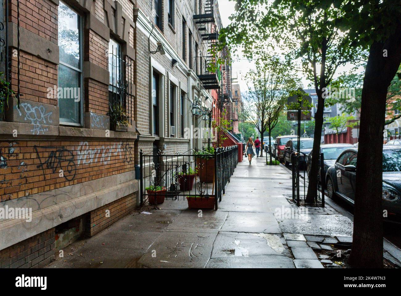 New York City, NY, USA, Street Scene, Brownstone Houses, Brooklyn ...