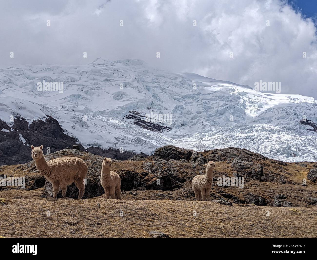 A scenic view of the snowy Cordillera Huayhuash hiking circuit and ...