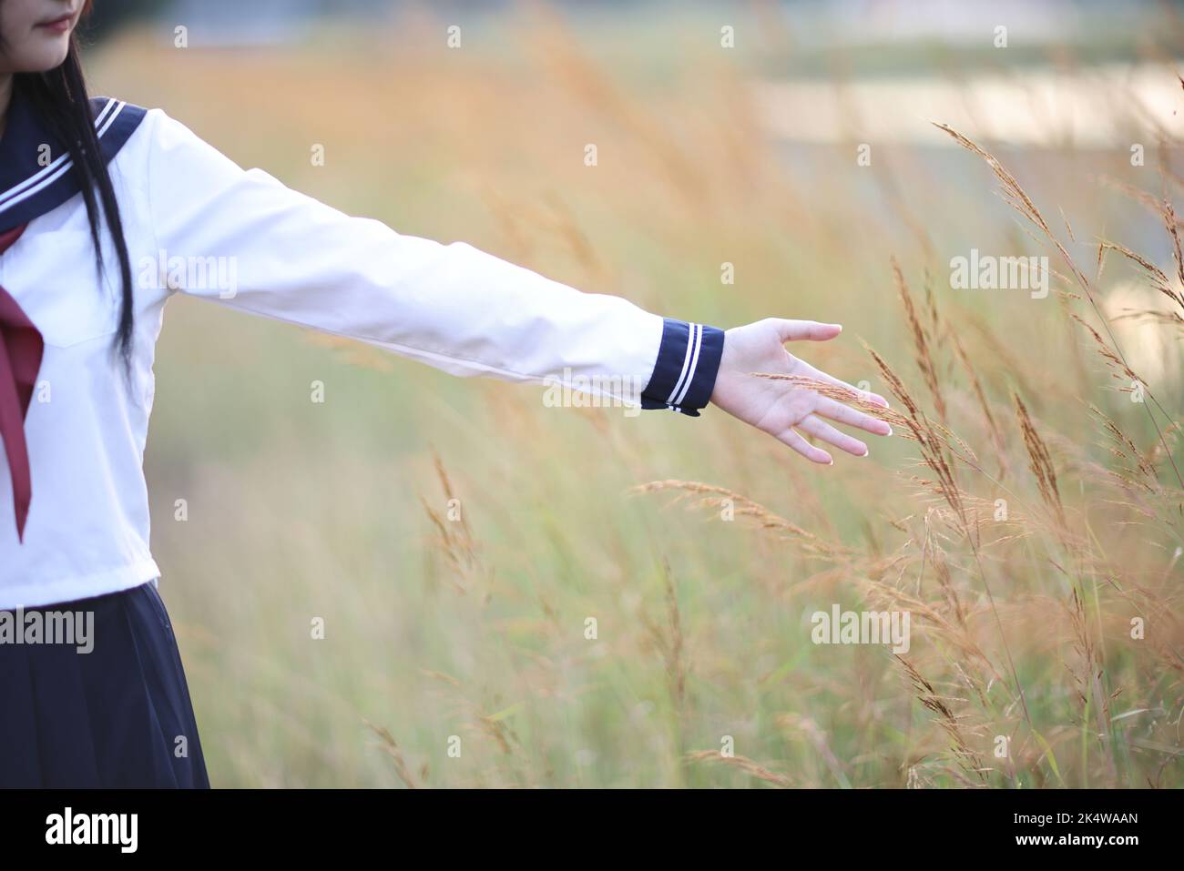 Asian High School Girls student hand touch grass in countryside with sunrise Stock Photo - Alamy