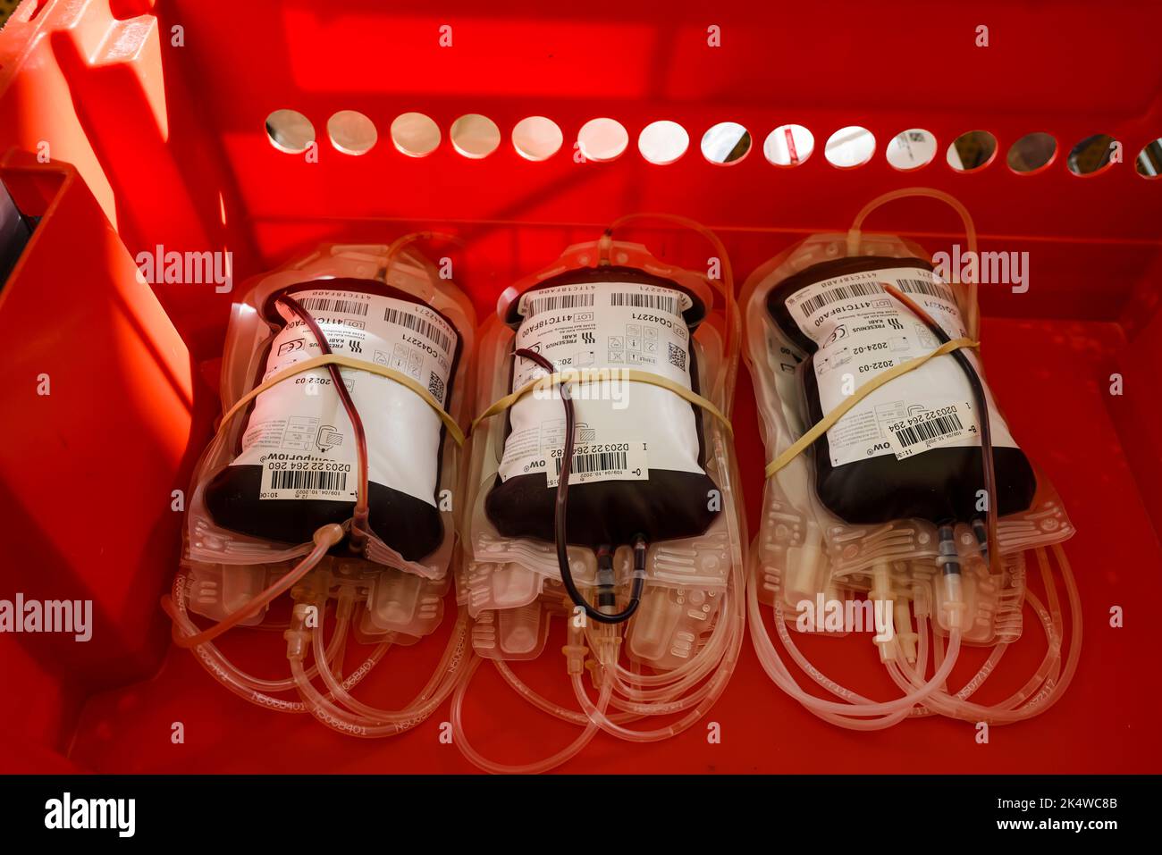 Kiel, Germany. 04th Oct, 2022. Blood reserves lie in a box. On October ...