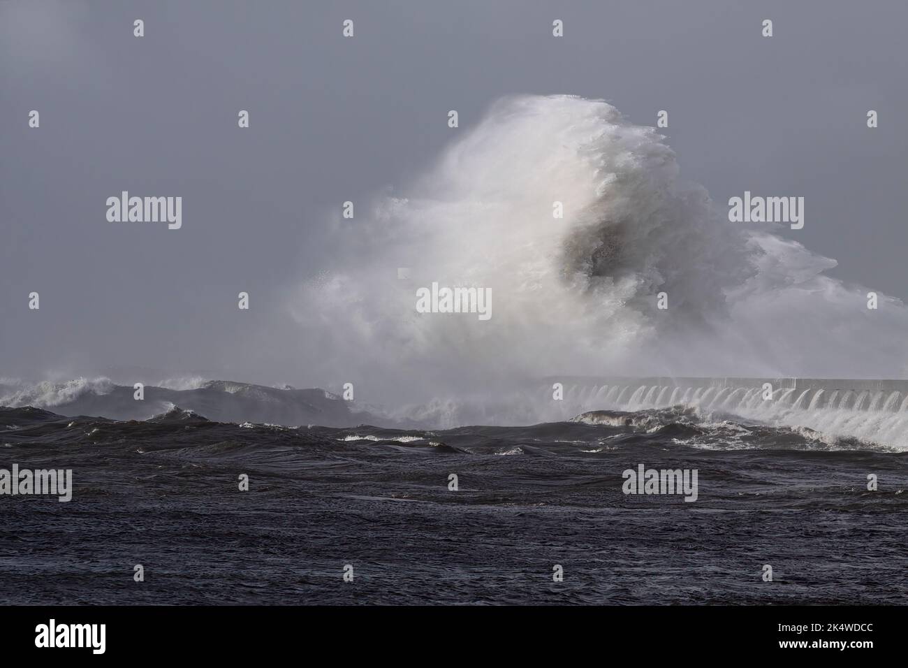 Huge sea wave splash during cyclone Stock Photo - Alamy