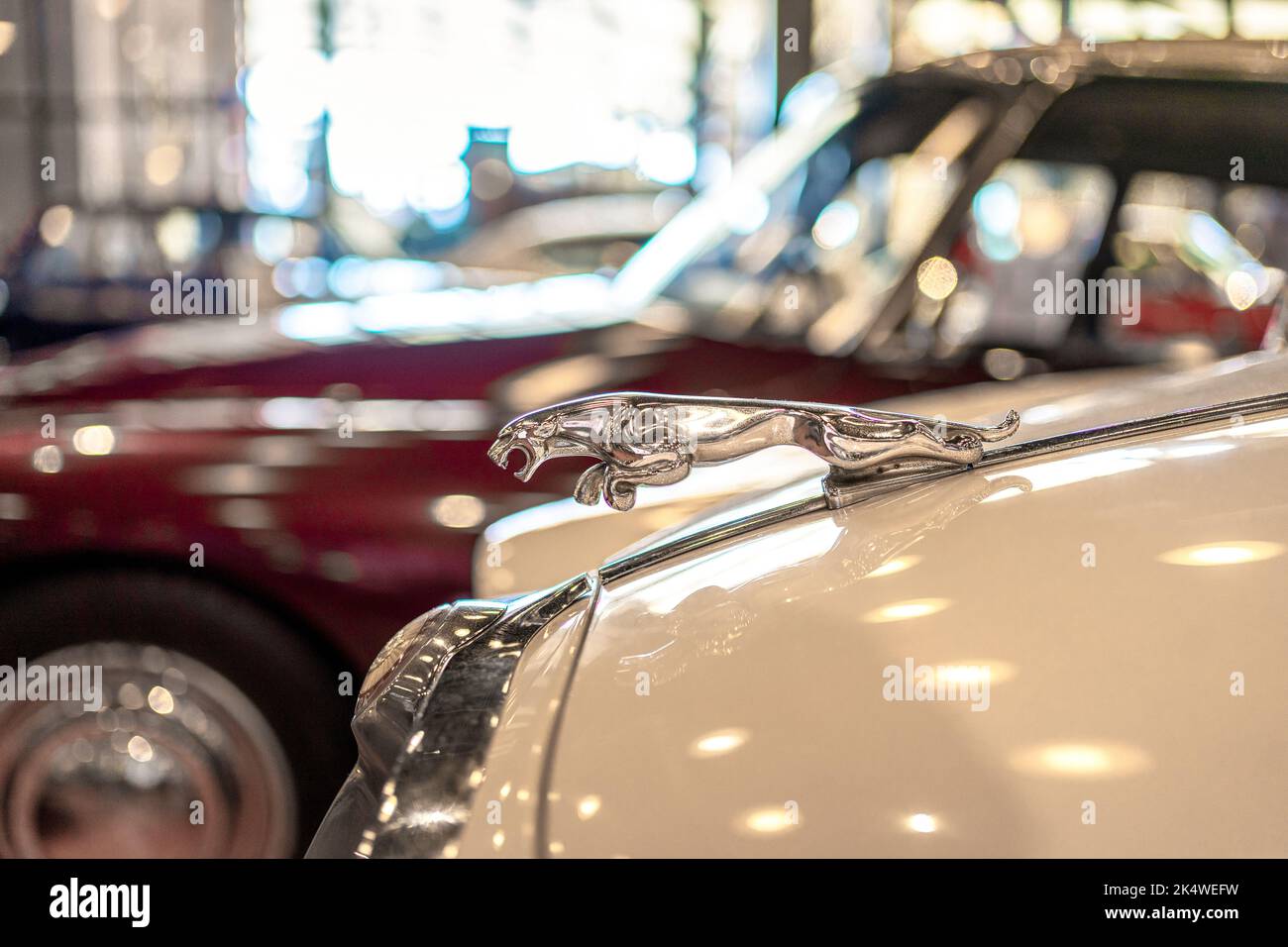 Jaguar logo hi-res stock photography and images - Alamy