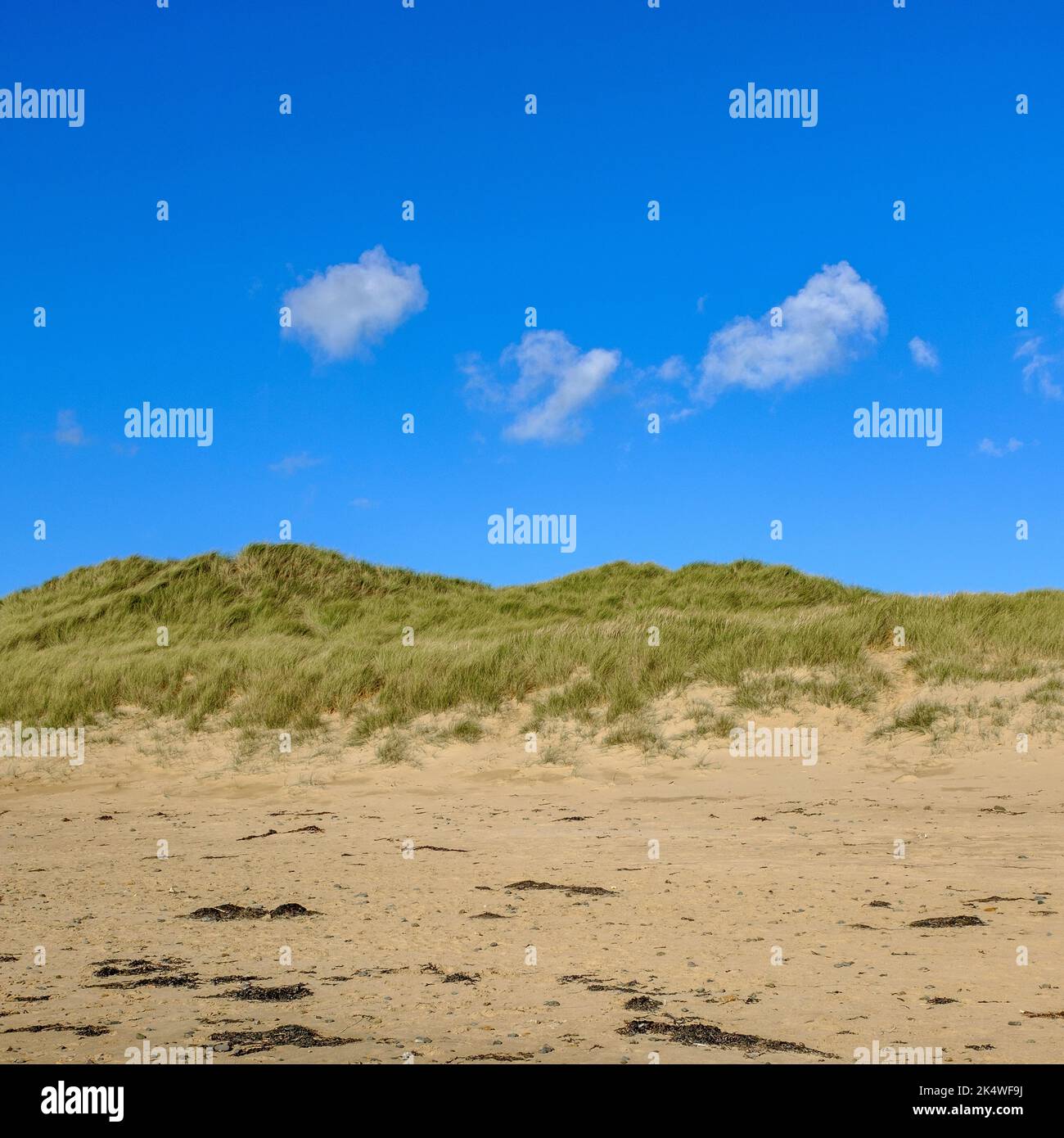 White clouds in a clear blue sky over the sand dunes at Rhosneigr ...