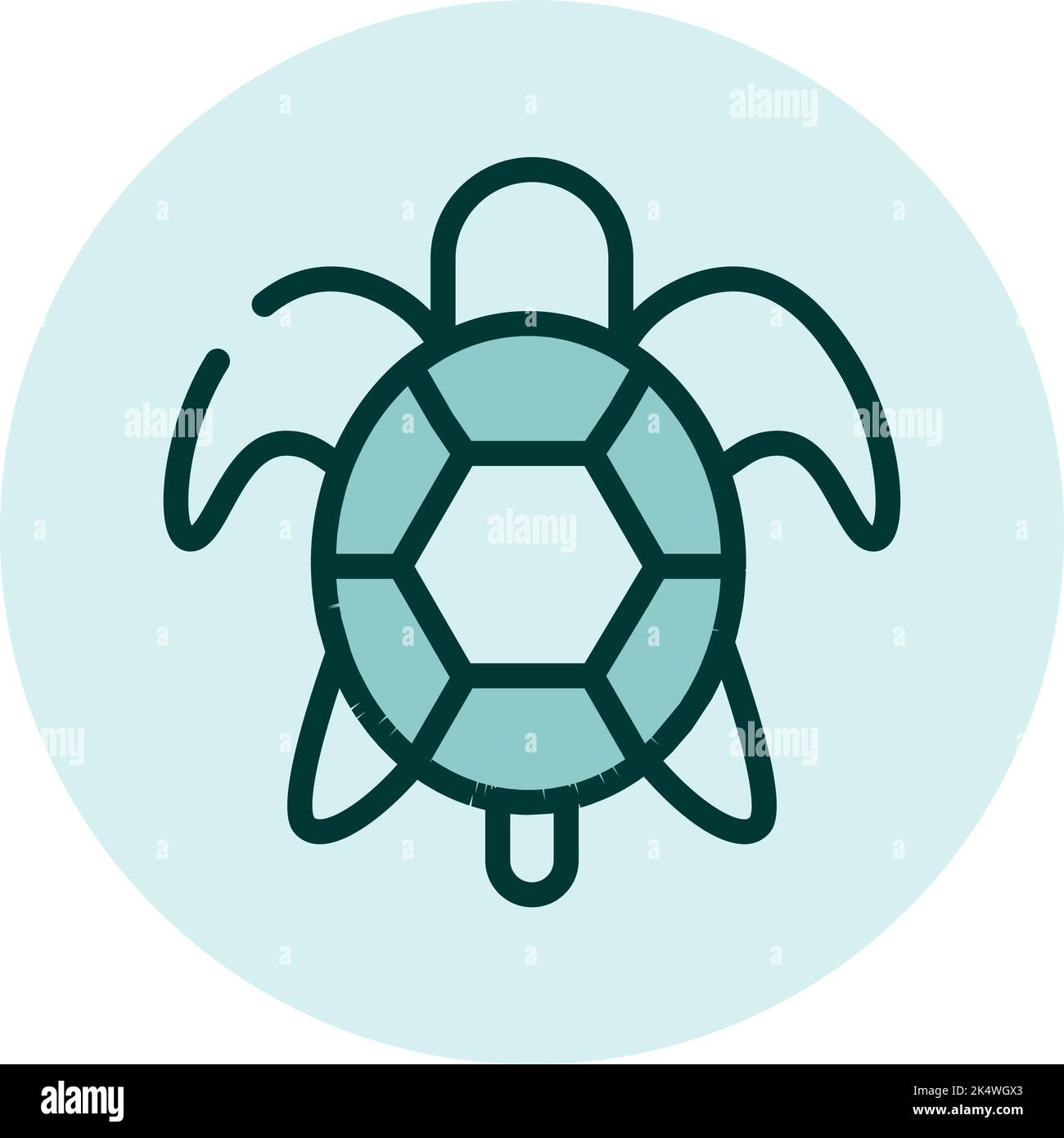 Wild turtle, illustration, vector on a white background Stock Vector ...