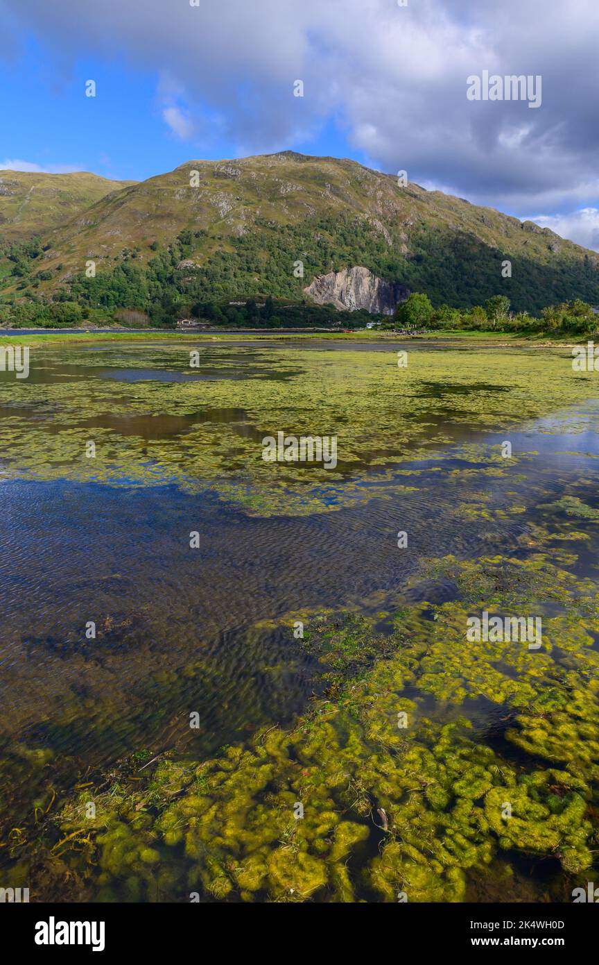 Bonawe quarry hi-res stock photography and images - Alamy