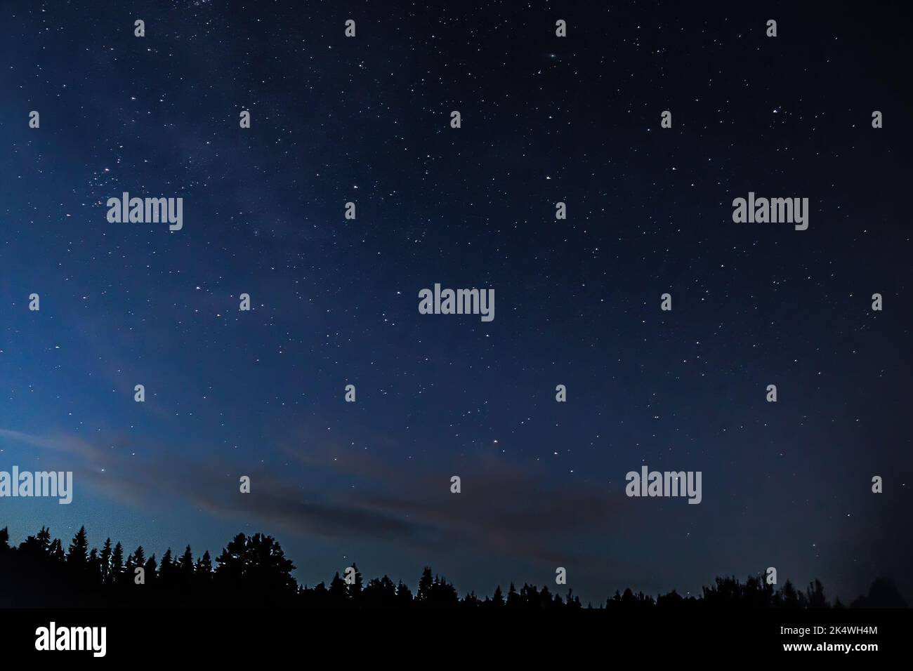 Night starry sky over forest. Tree silhouettes against backdrop of ...