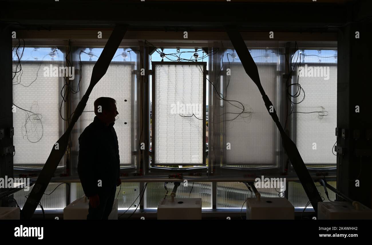 Stuttgart, Germany. 04th Oct, 2022. An employee from the Institute of ...