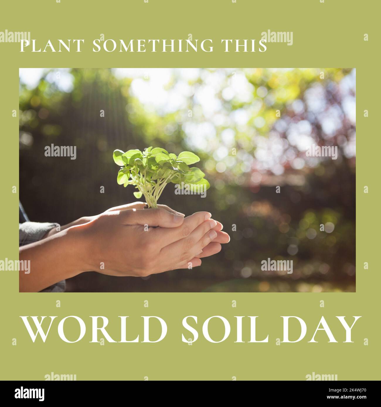 Composition of world soil day text over caucasian woman's hands holding ...