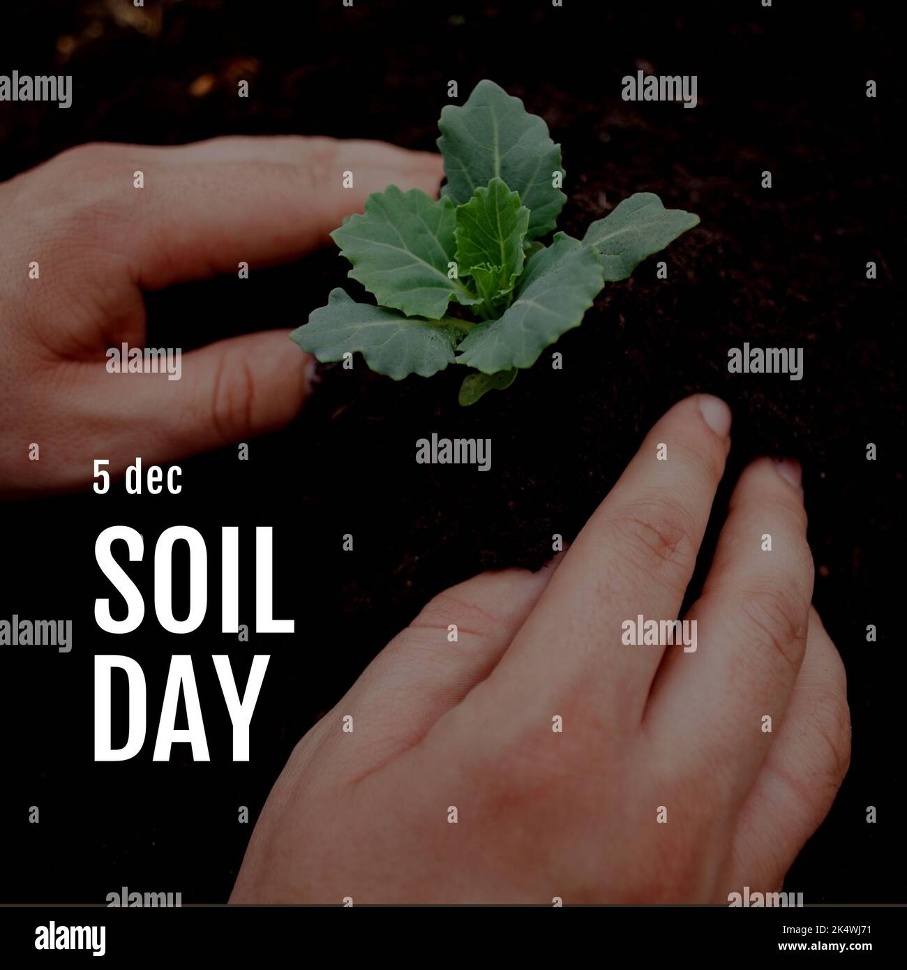 Womans hands frame hi-res stock photography and images - Alamy