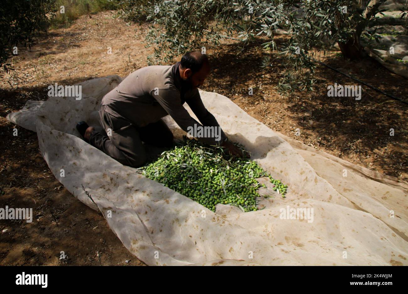 Gaza City, Gaza Strip, Palestine. 4th Oct, 2022. Gaza, Palestine. 04 ...