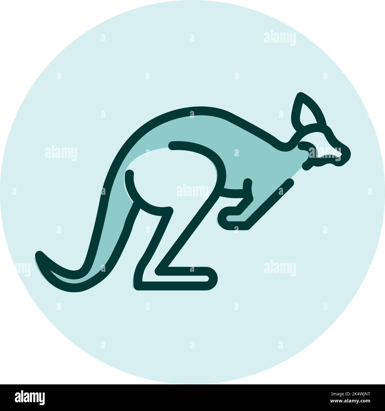 Wild cangaroo, illustration, vector on a white background Stock Vector ...