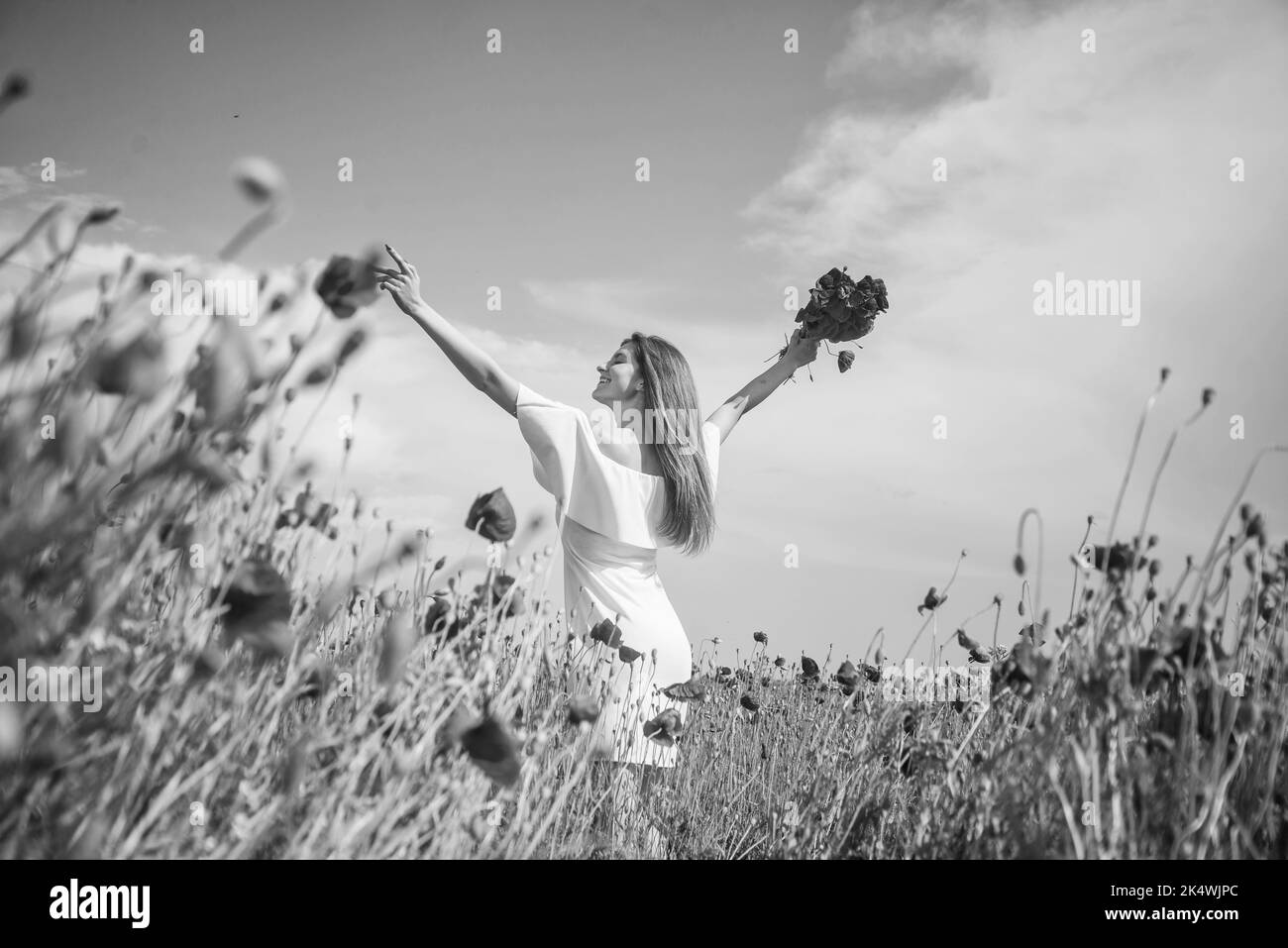 woman gather flowers in summer poppy field, happiness Stock Photo - Alamy
