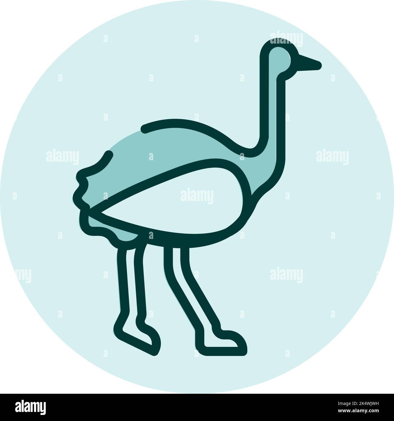 Wild ostrich, illustration, vector on a white background Stock Vector ...