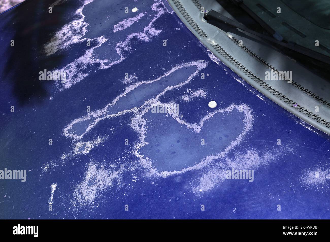 Weathered car hood paint coat. Peeling paint surface in a 15 year old ...