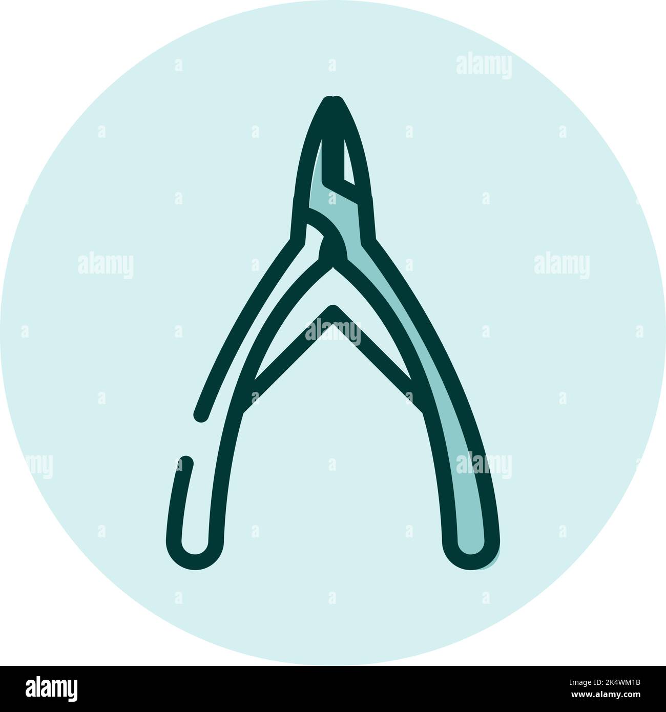 Beauty nipper, illustration, vector on a white background Stock Vector ...