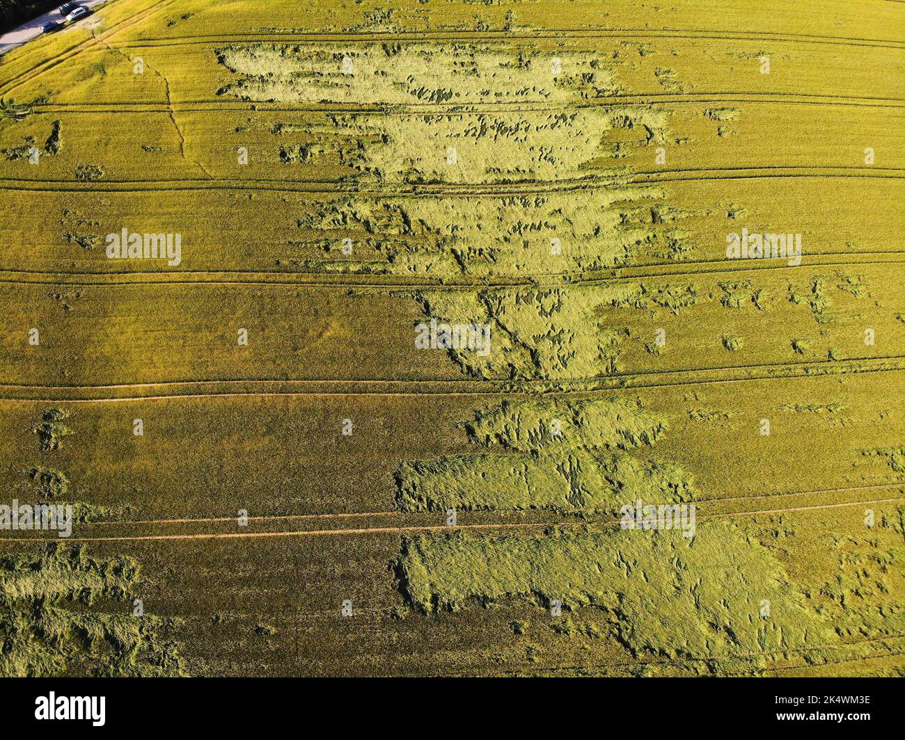 Poland weather summer hail hi-res stock photography and images - Alamy
