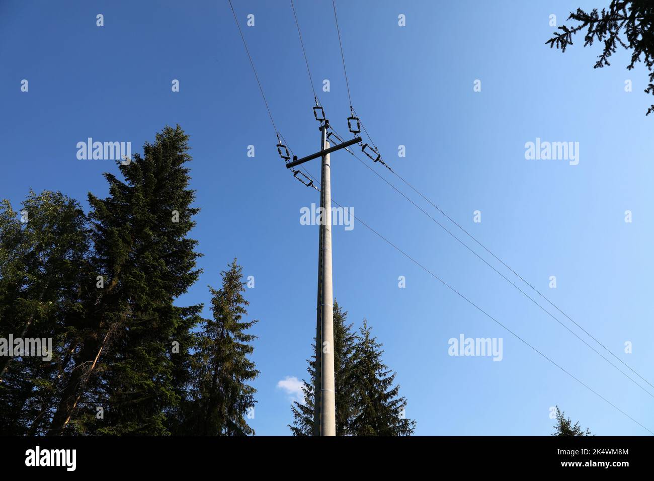 Electric grid near Wisla, Poland. Utility pole in Poland Stock Photo ...