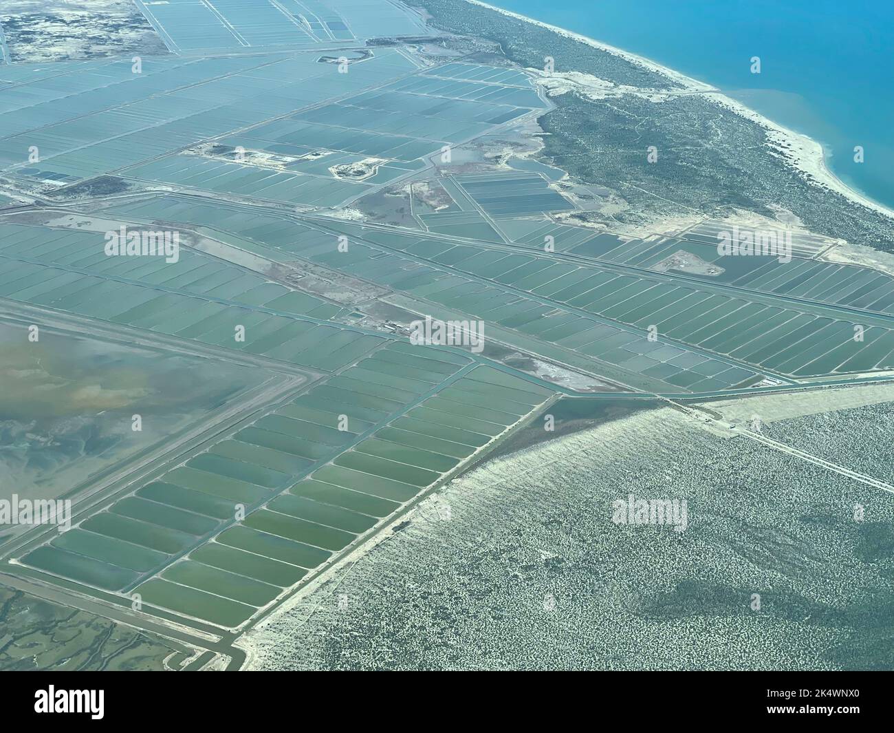 Aerial view of the shrimp farming fields, farms of the aquaculture ...