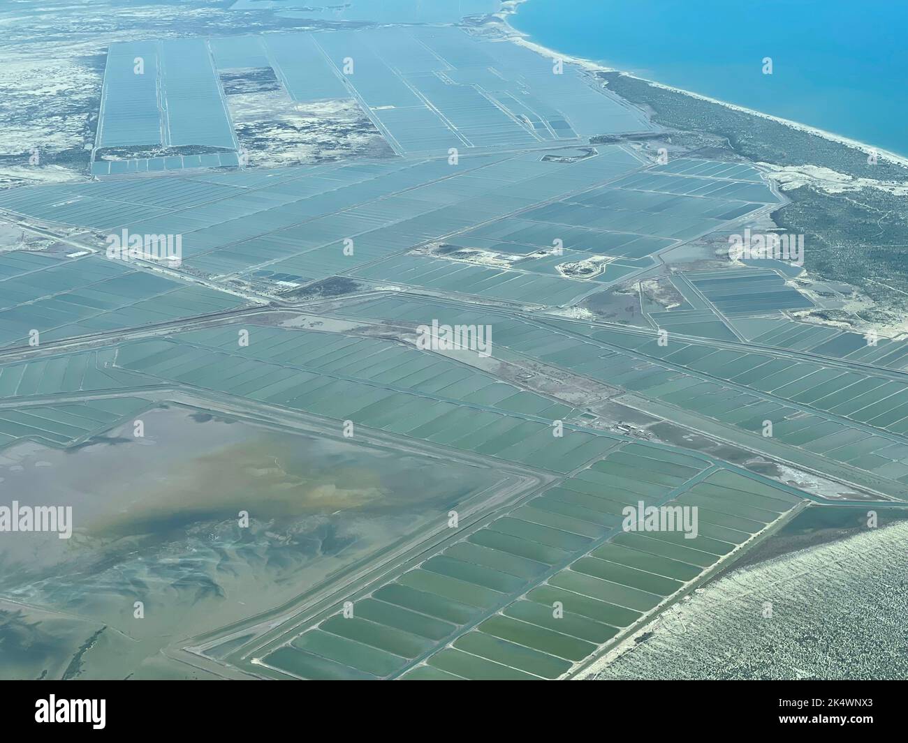 Aerial view of the shrimp farming fields, farms of the aquaculture ...