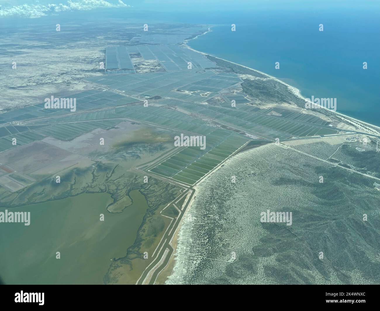 Aerial view of the shrimp farming fields, farms of the aquaculture ...