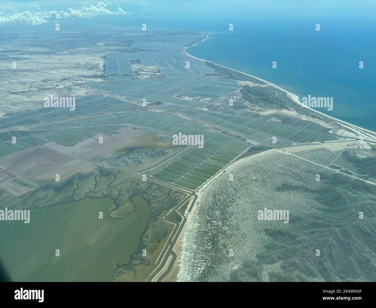 Aerial view of the shrimp farming fields, farms of the aquaculture ...
