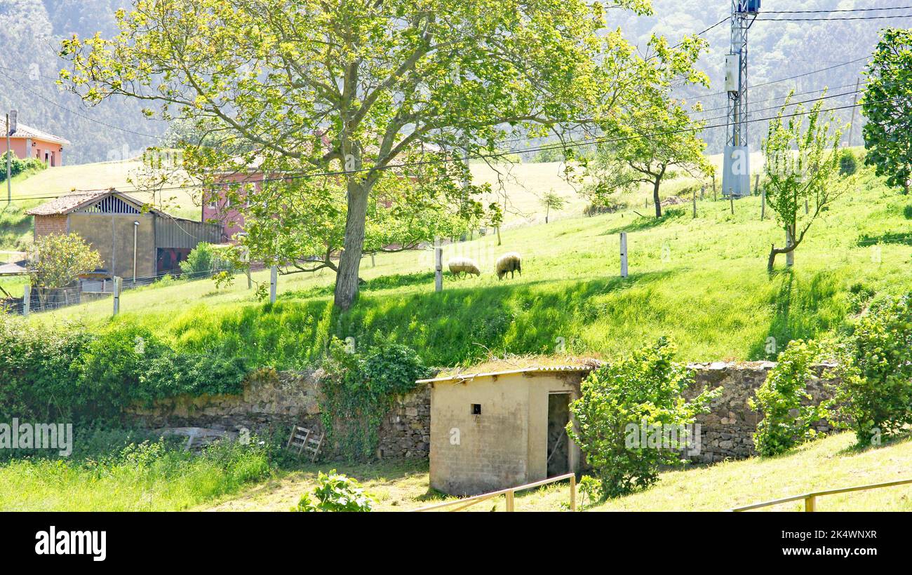 Asturias landscape with highway in the background, Principality of ...