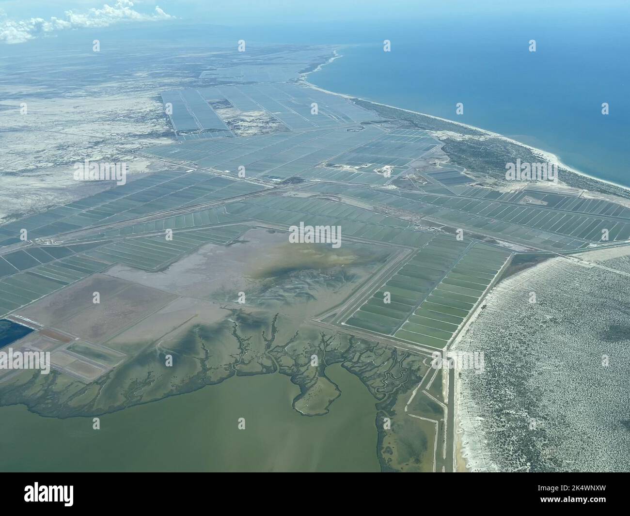 Aerial view of the shrimp farming fields, farms of the aquaculture ...