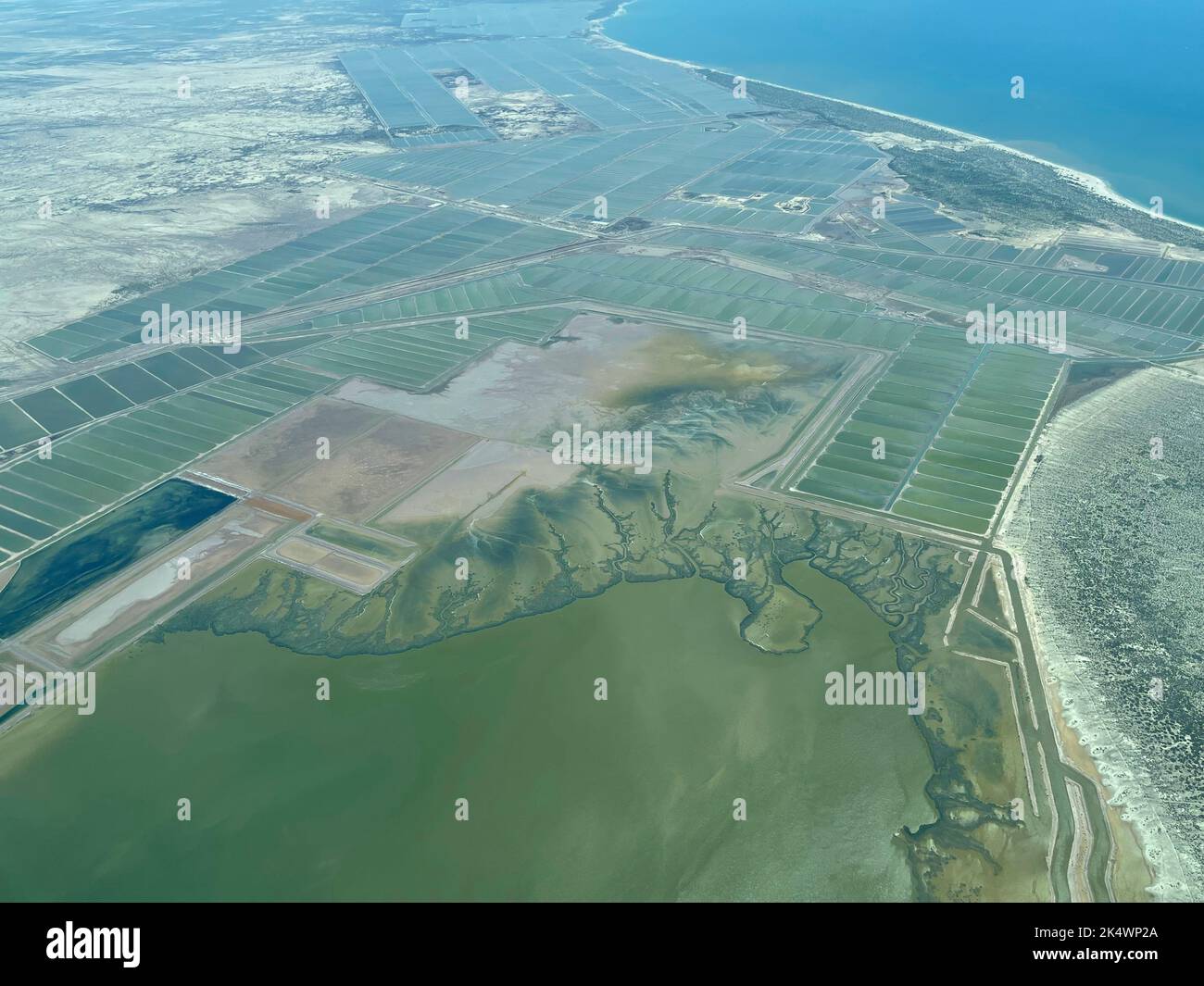 Aerial view of the shrimp farming fields, farms of the aquaculture ...