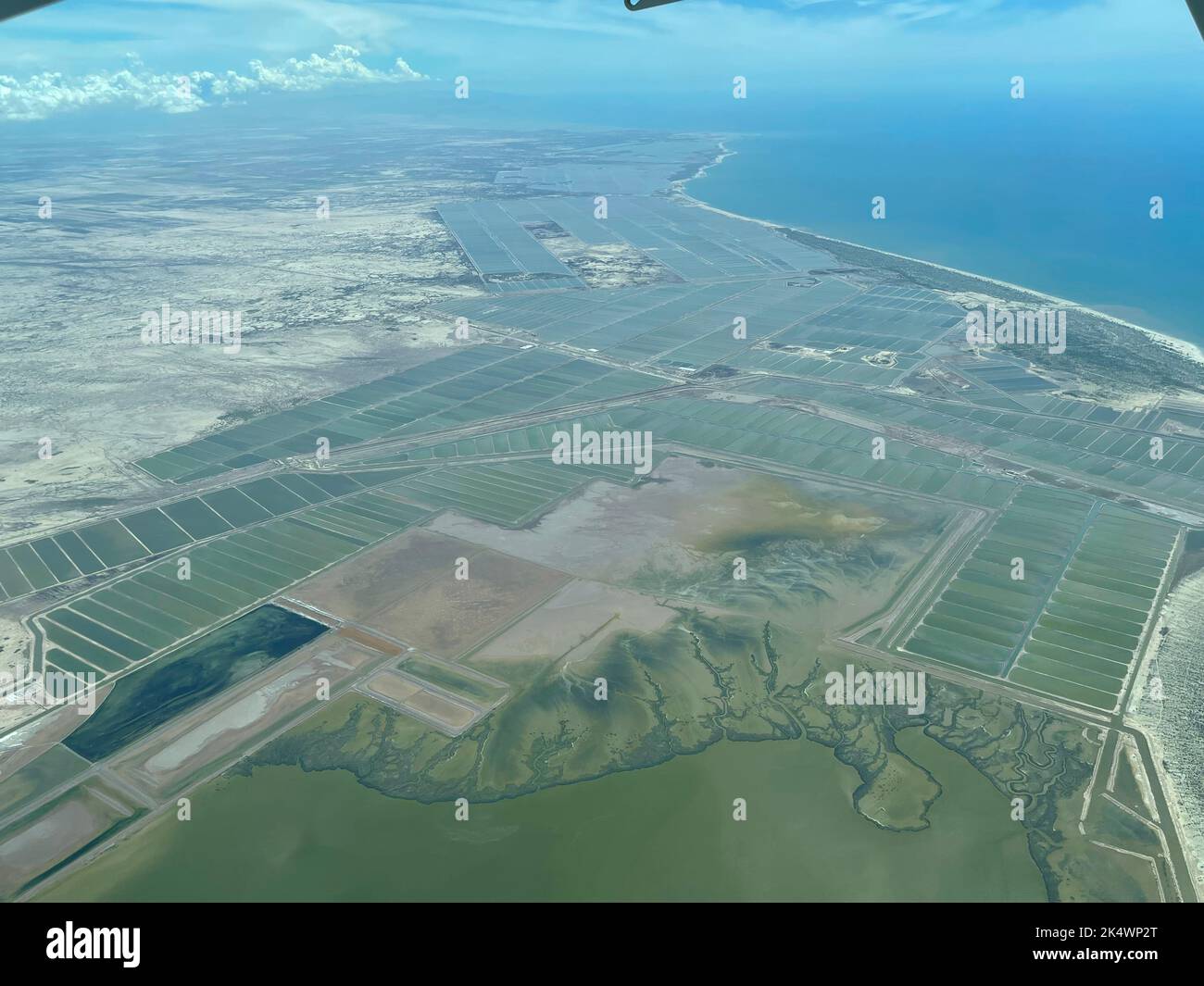Aerial view of the shrimp farming fields, farms of the aquaculture ...