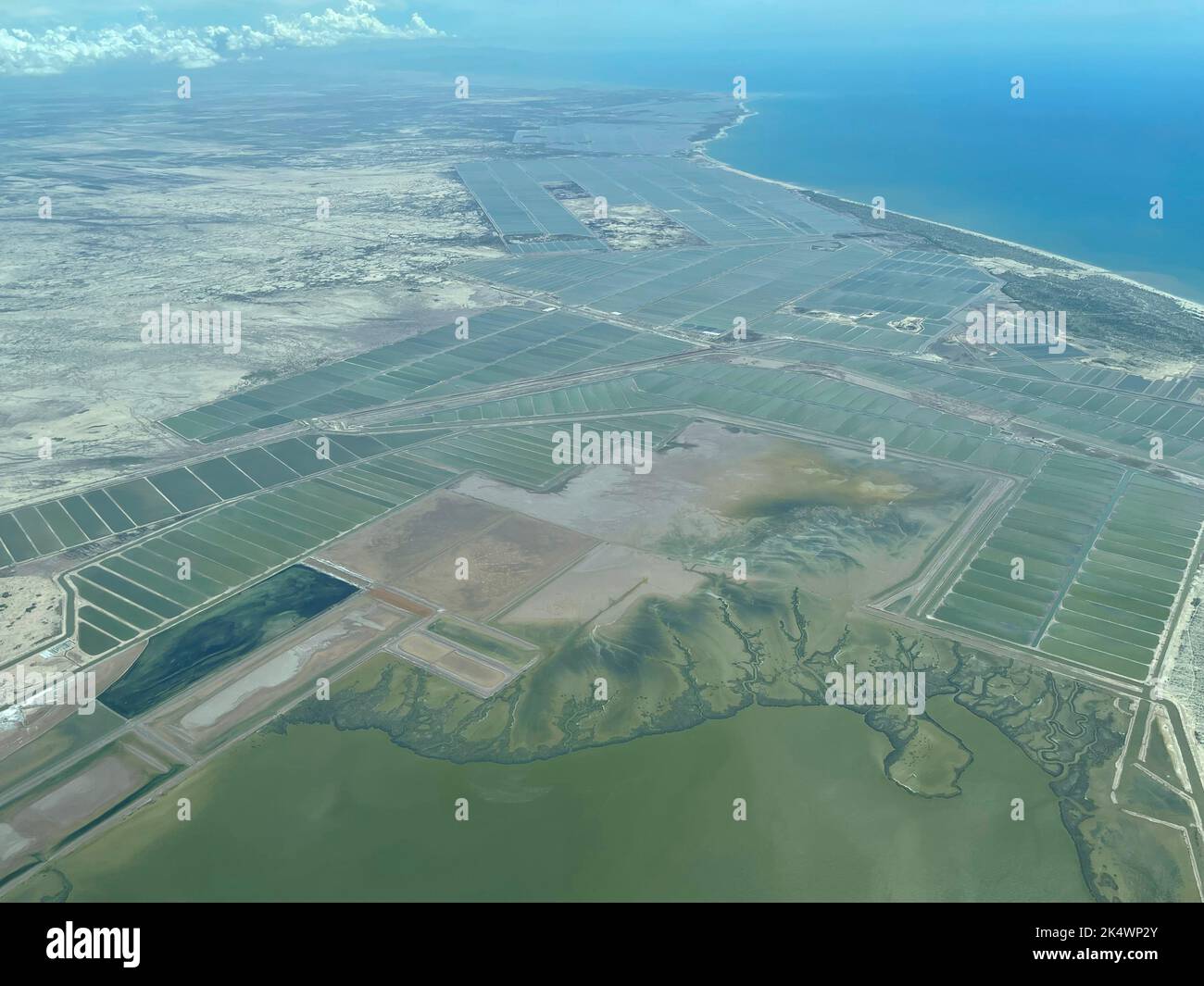 Aerial view of the shrimp farming fields, farms of the aquaculture ...