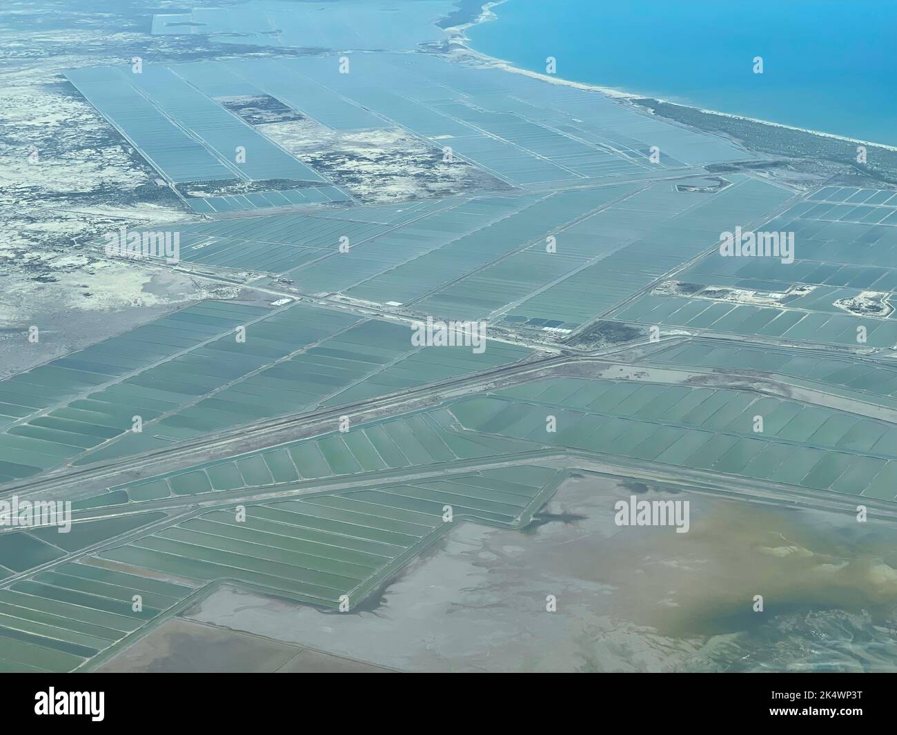 Aerial view of the shrimp farming fields, farms of the aquaculture ...