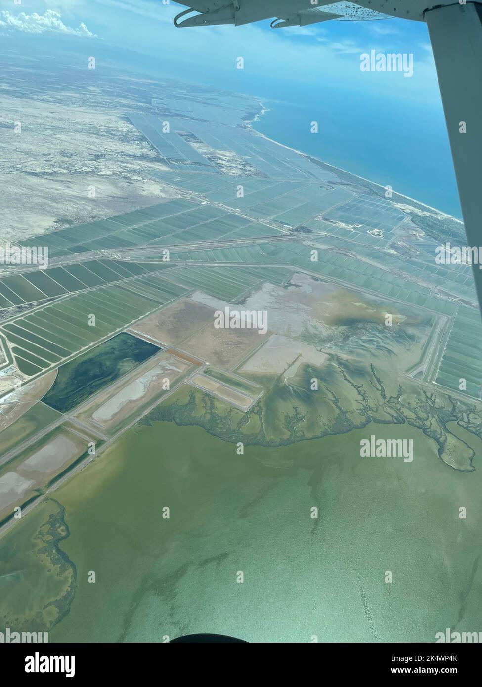 Aerial view of the shrimp farming fields, farms of the aquaculture ...