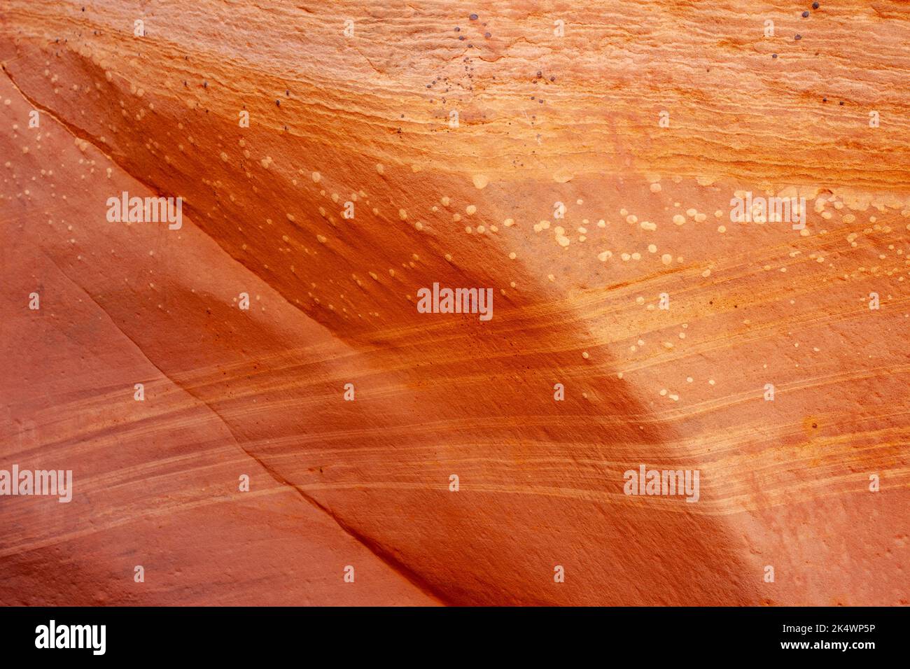 Detail of the wall of Holeman Slot canyon carved by rushing water over ...