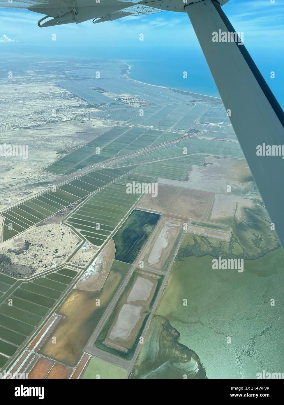 Aerial view of the shrimp farming fields, farms of the aquaculture ...