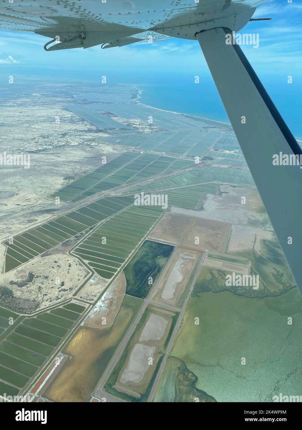 Aerial view of the shrimp farming fields, farms of the aquaculture ...