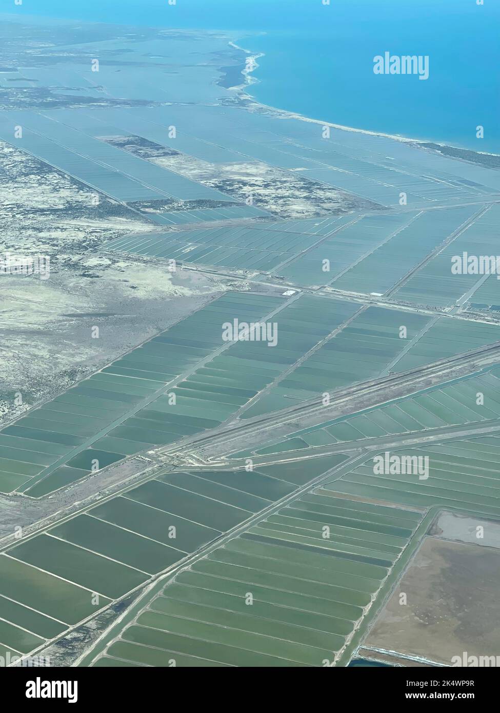 Aerial view of the shrimp farming fields, farms of the aquaculture ...