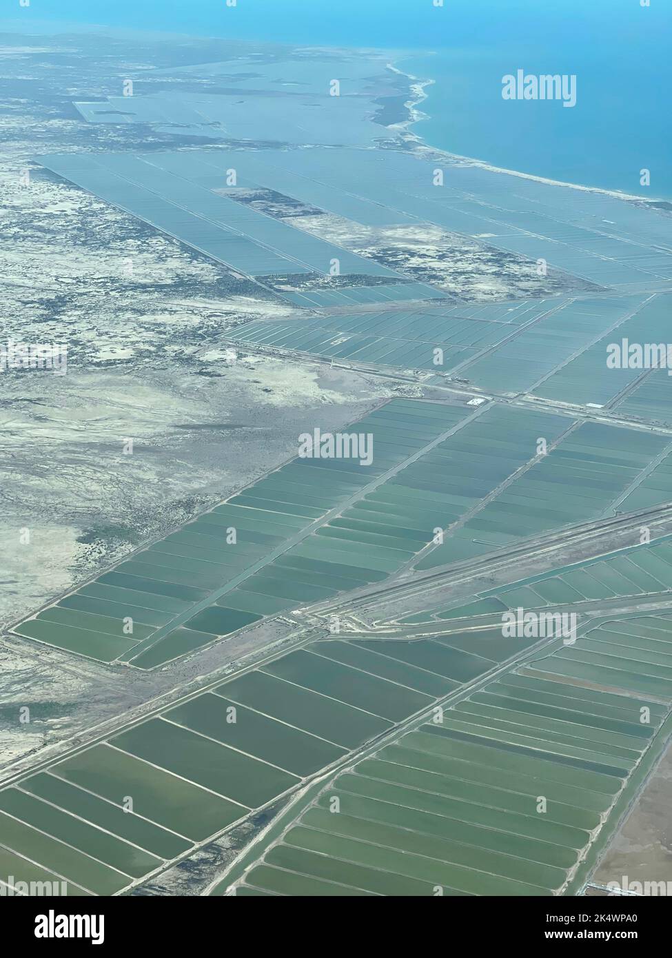 Aerial view of the shrimp farming fields, farms of the aquaculture ...