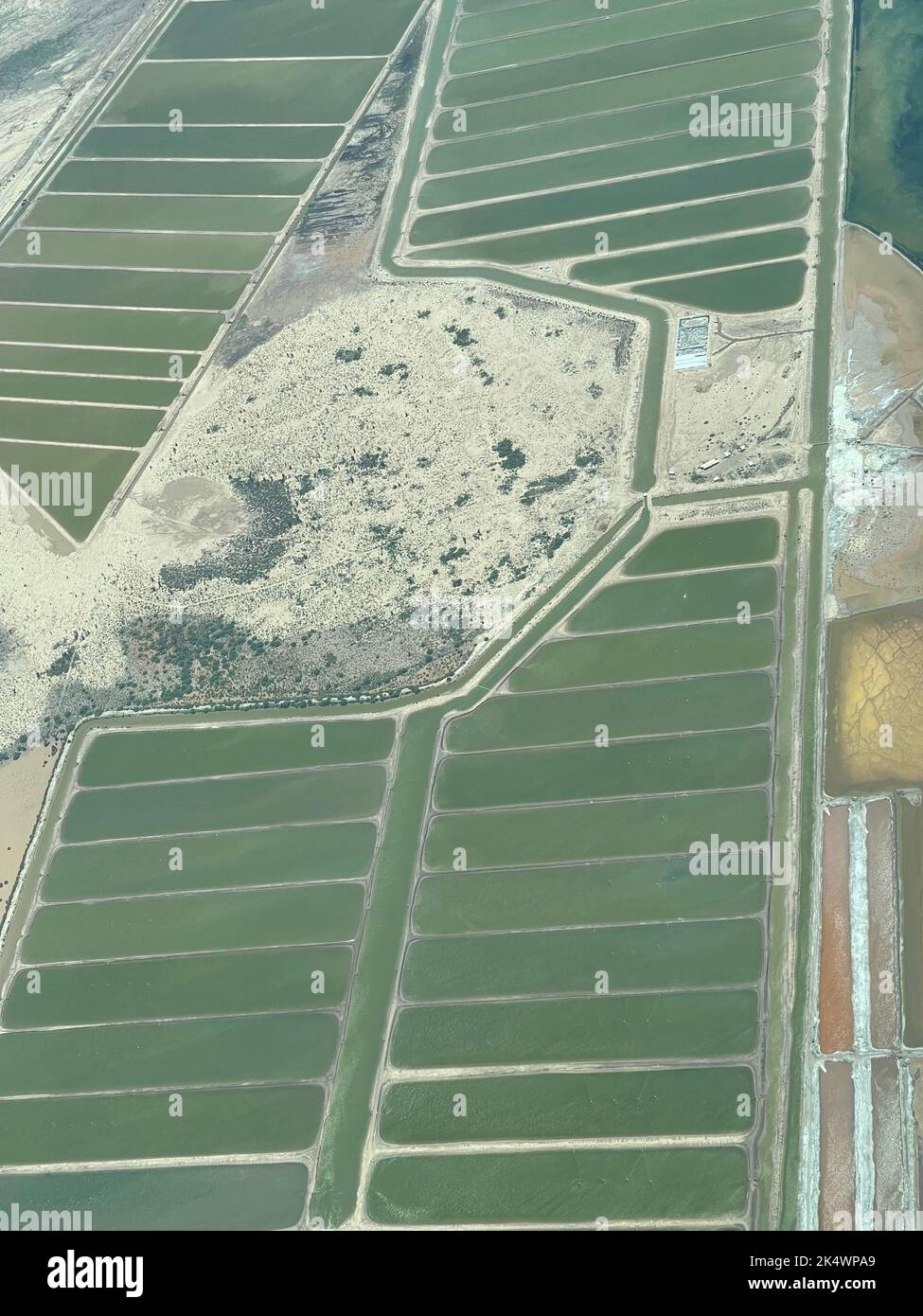 Aerial view of the shrimp farming fields, farms of the aquaculture ...
