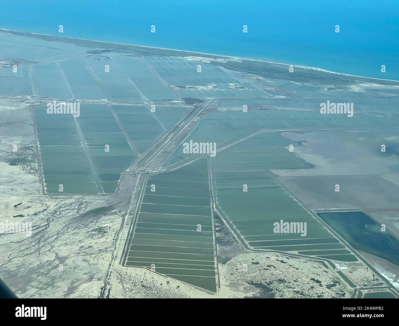Aerial view of the shrimp farming fields, farms of the aquaculture ...