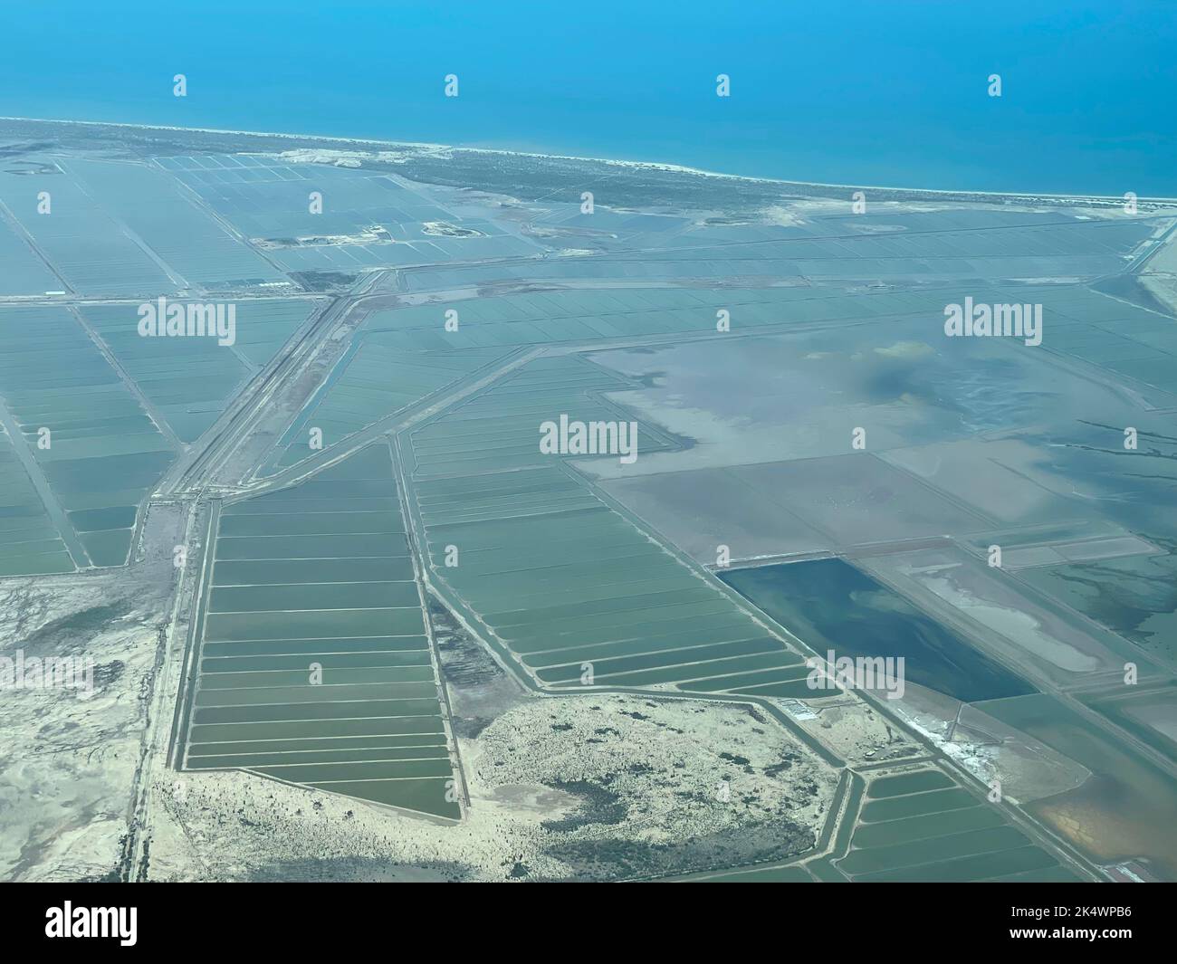 Aerial view of the shrimp farming fields, farms of the aquaculture ...