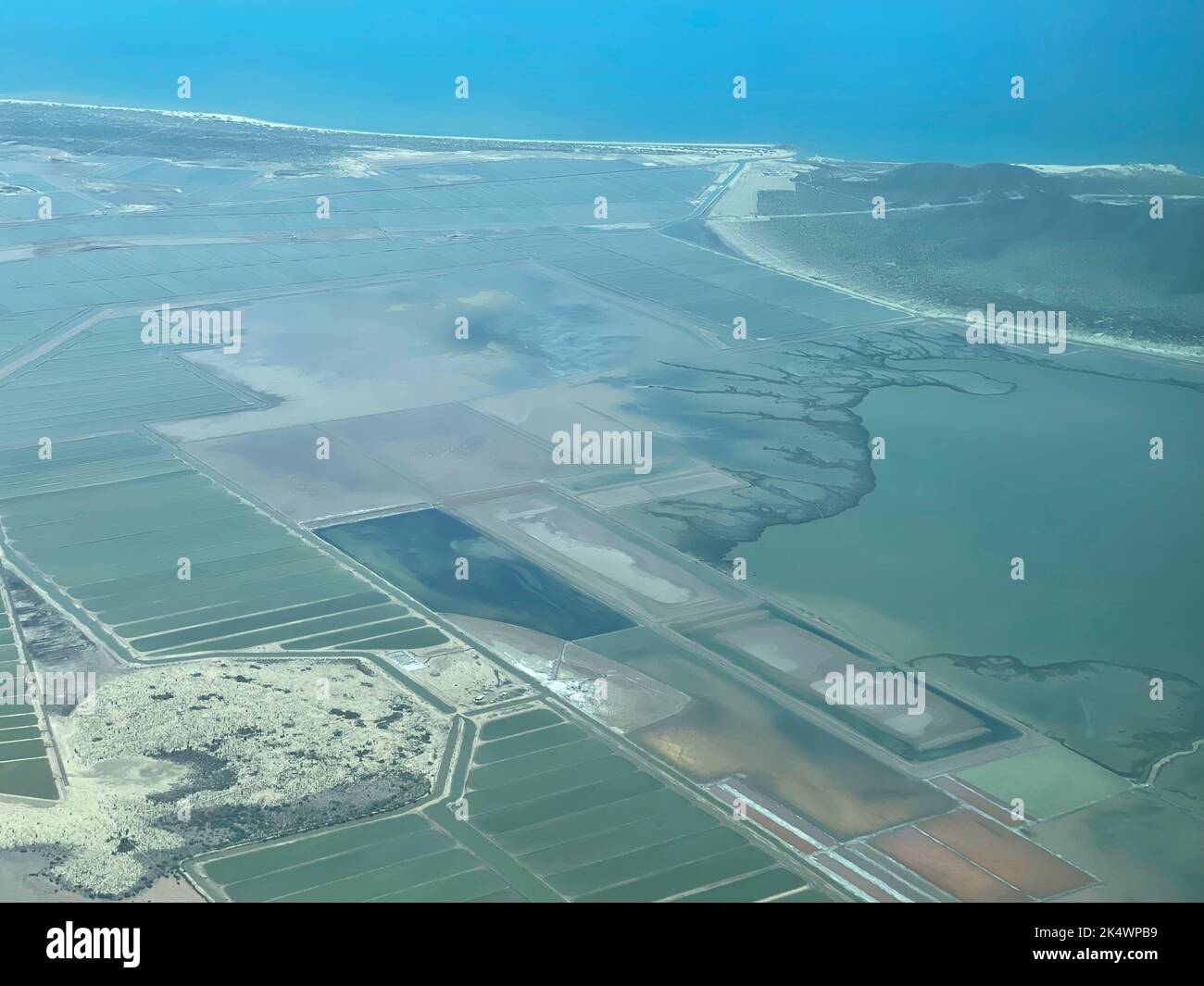 Aerial view of the shrimp farming fields, farms of the aquaculture ...
