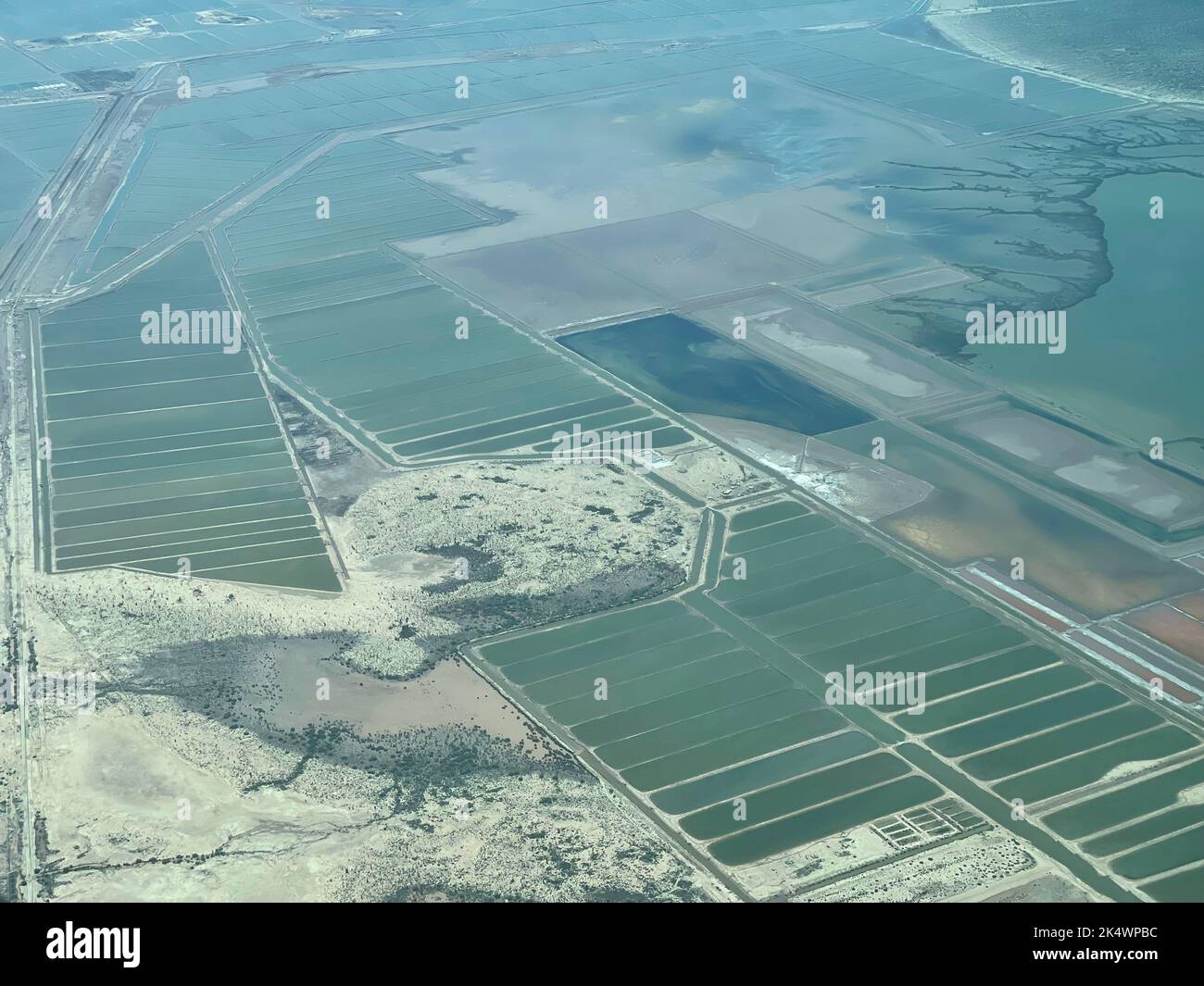 Aerial view of the shrimp farming fields, farms of the aquaculture ...