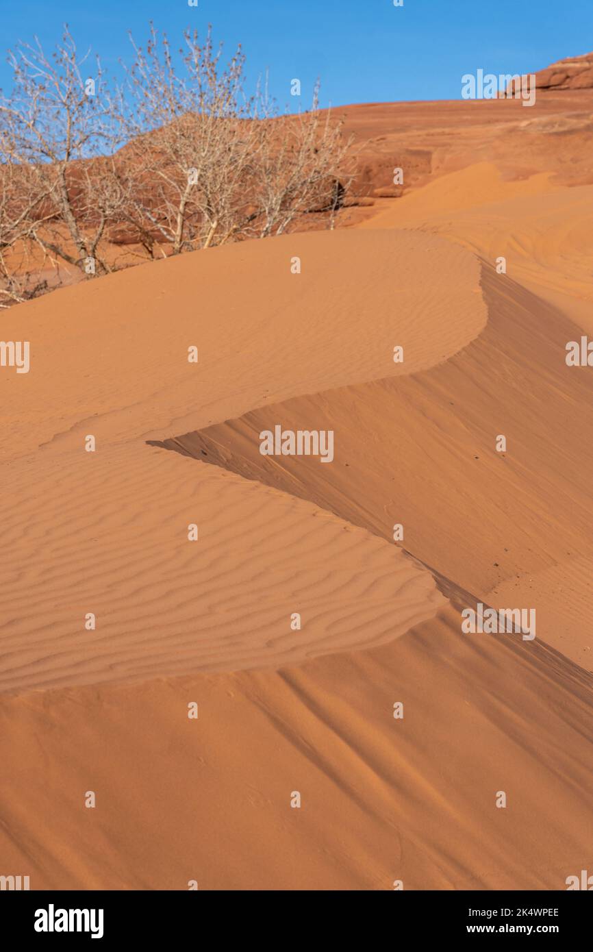 Ripples and curves in the sand dunes at the White Wash Dunes Recreation ...