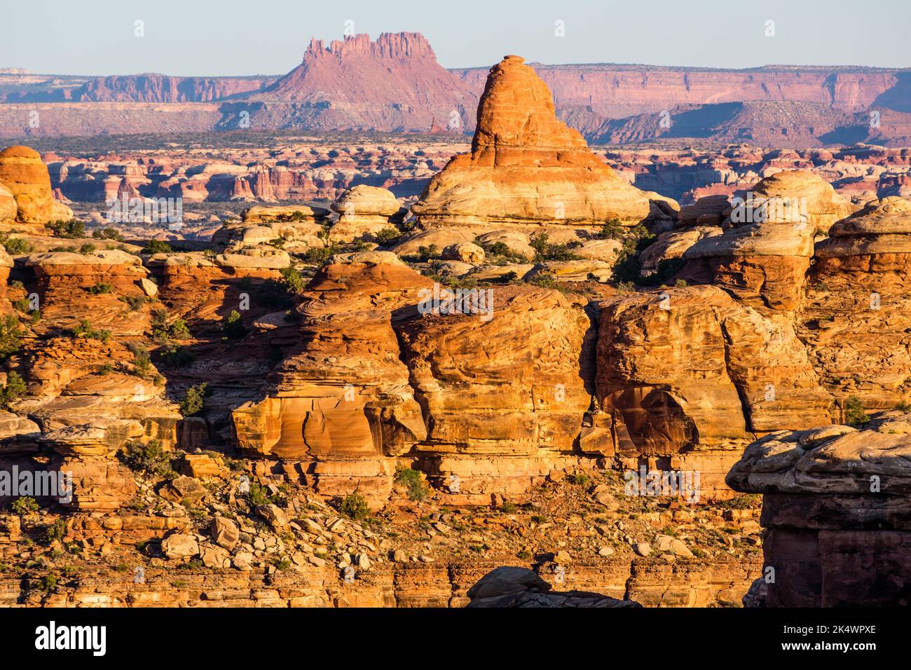 Sunrise light on Cedar Mesa sandstone rock formations in the Devil's ...
