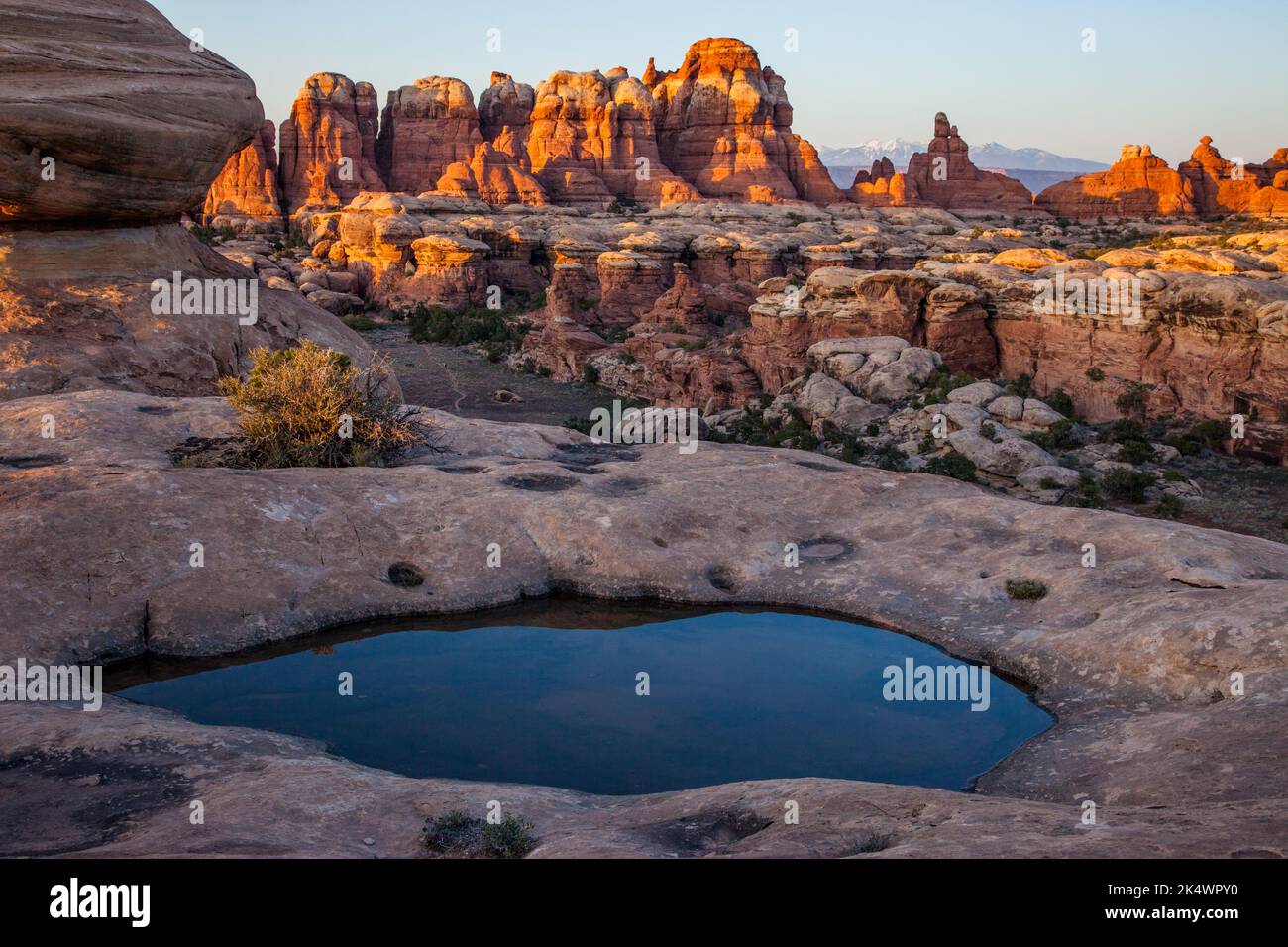 A rainwater pothole in Cedar Mesa sandstone in the Devil's Kitchen area ...