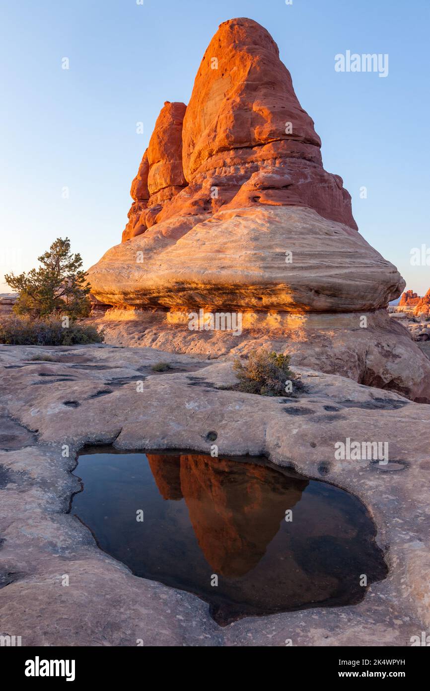 A rainwater pothole in Cedar Mesa sandstone in the Devil's Kitchen area ...
