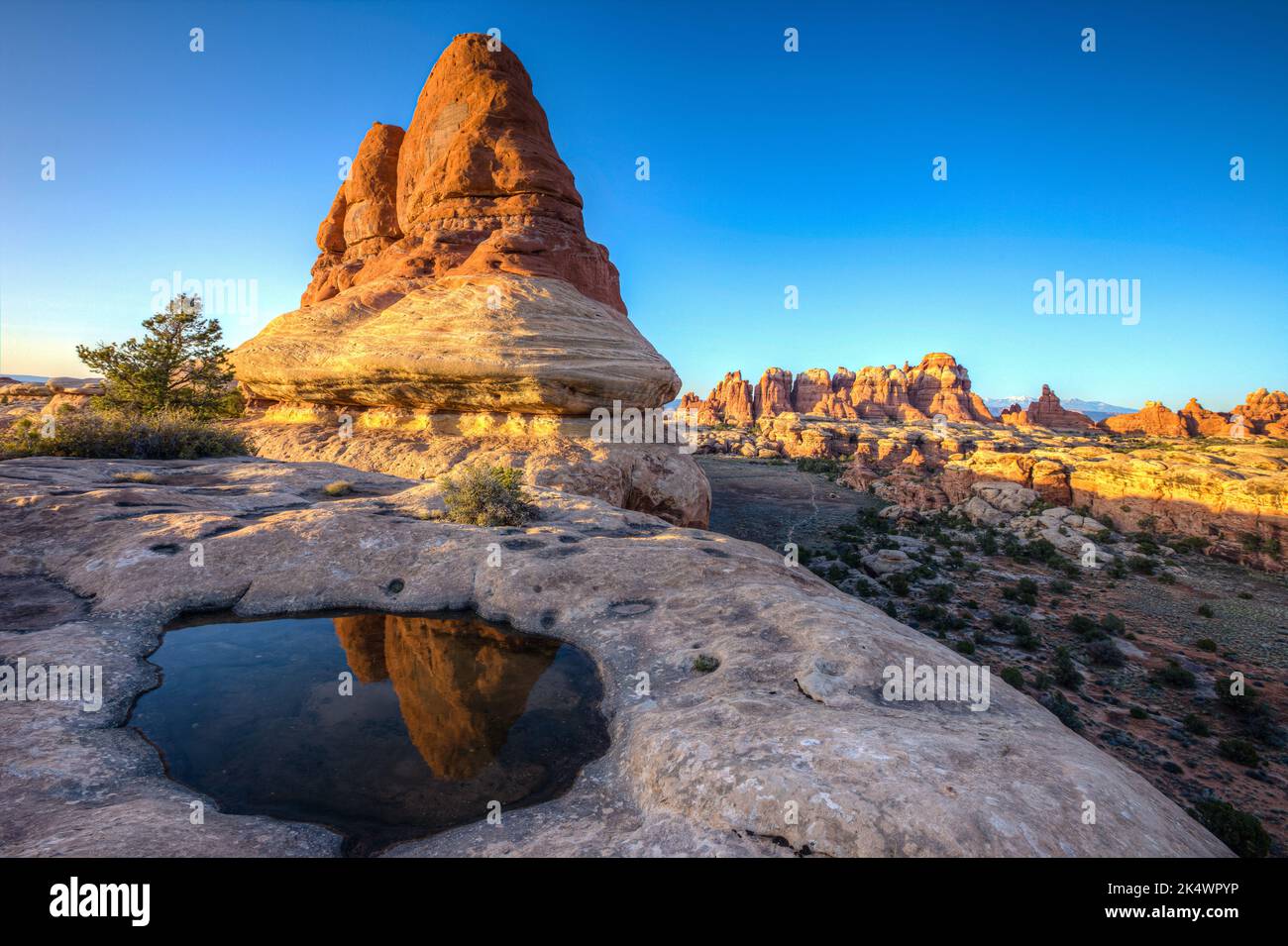 A rainwater pothole in Cedar Mesa sandstone in the Devil's Kitchen area ...