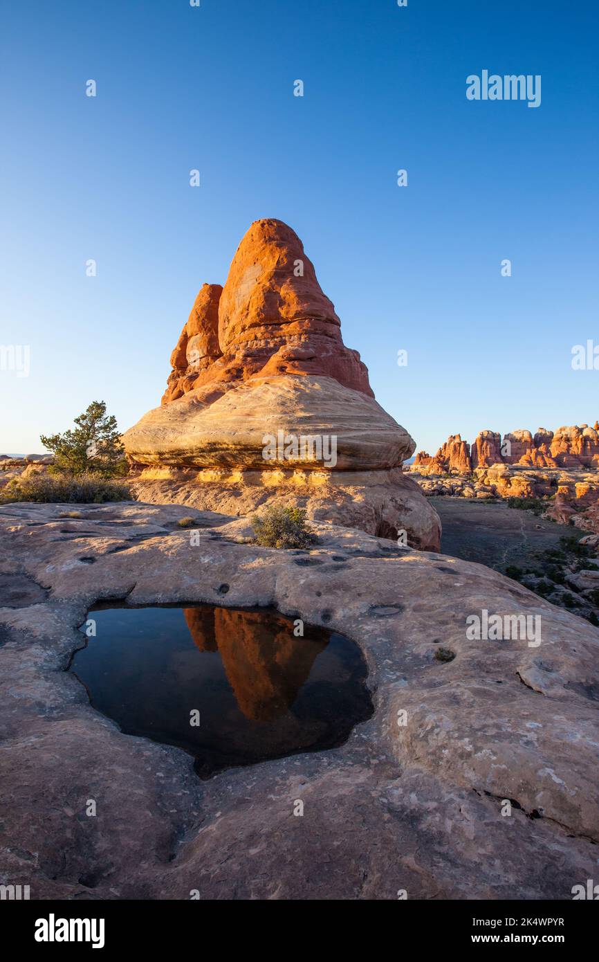 A rainwater pothole in Cedar Mesa sandstone in the Devil's Kitchen area ...