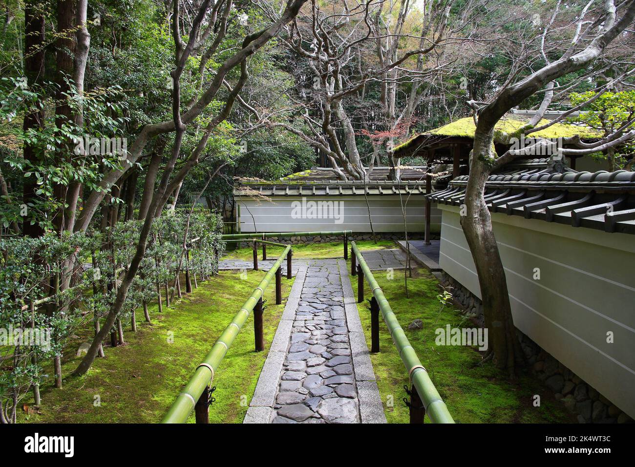 Japanese moss garden in Kyoto, Japan. Kyoto Kita Ward landmark ...