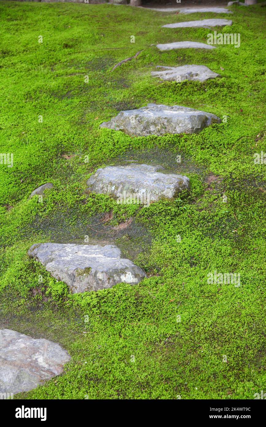 Japanese Moss Garden Path 30 Gardens In Japan 30 Lessons For A